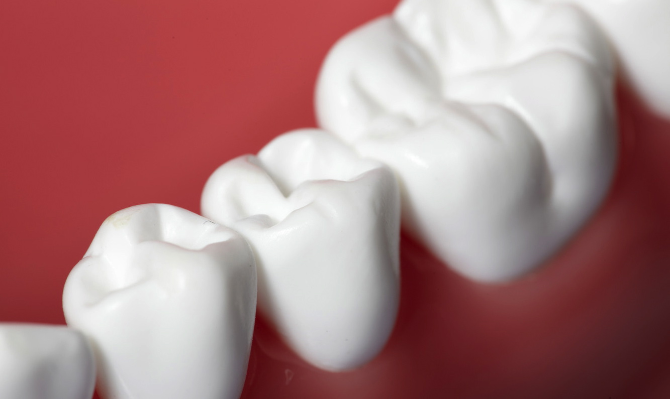 How raw meat changed the course of human evolution | News, Sports, Jobs ...